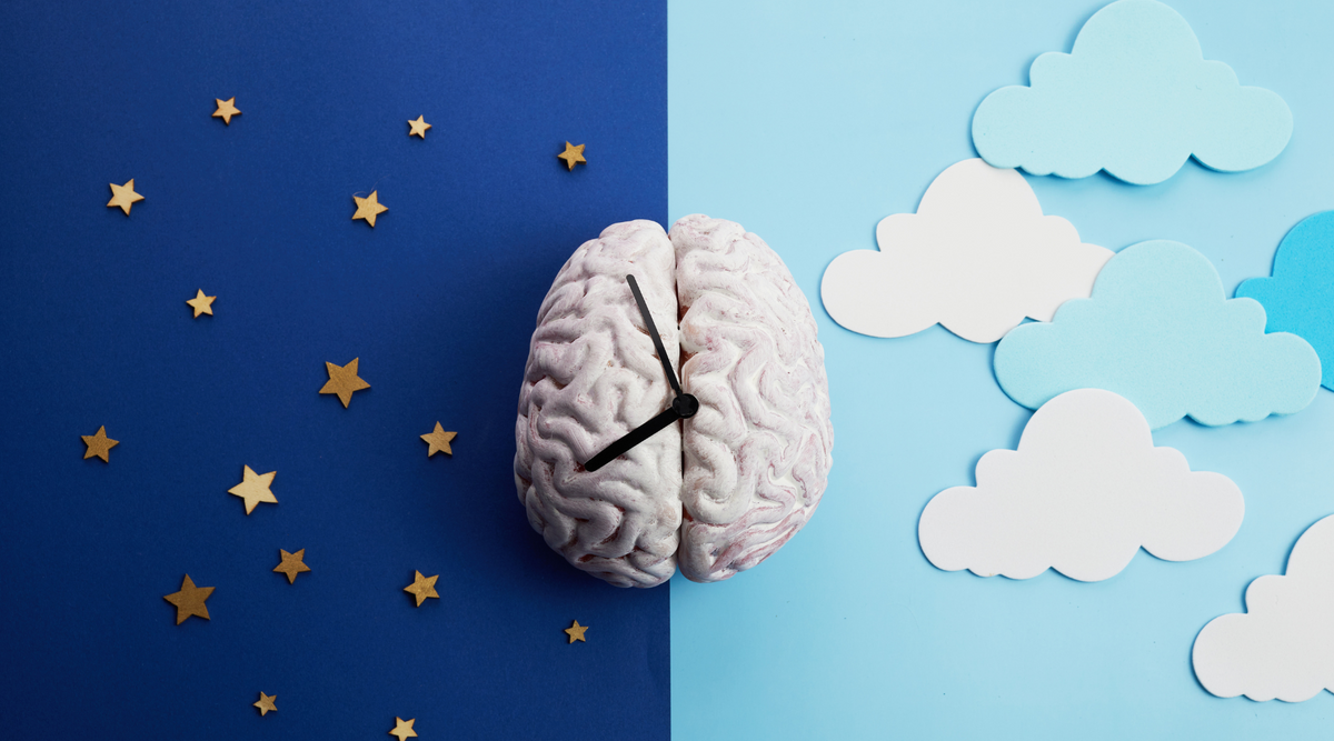 Understanding Sleep Cycles: A Guide to Waking Up Refreshed | 88SHEEP